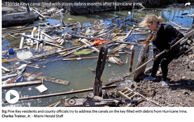 Eight Months Later, Canals in the Florida Keys Are Still Clogged from ...