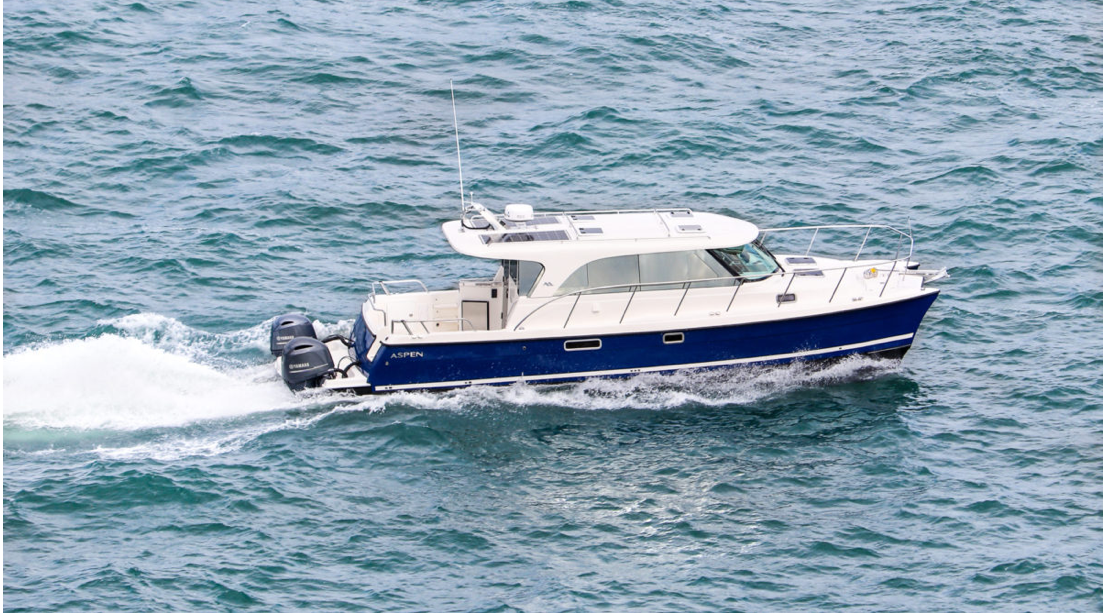 Trends 2020: Ten Top Power Cats